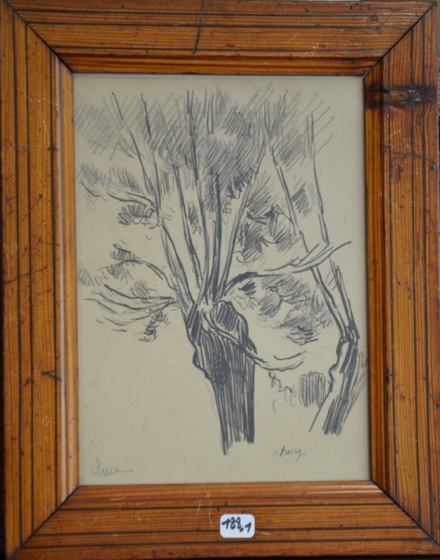 Maximilien LUCE (1858-1941) - Étude de saules, Dessin au crayon signé ...