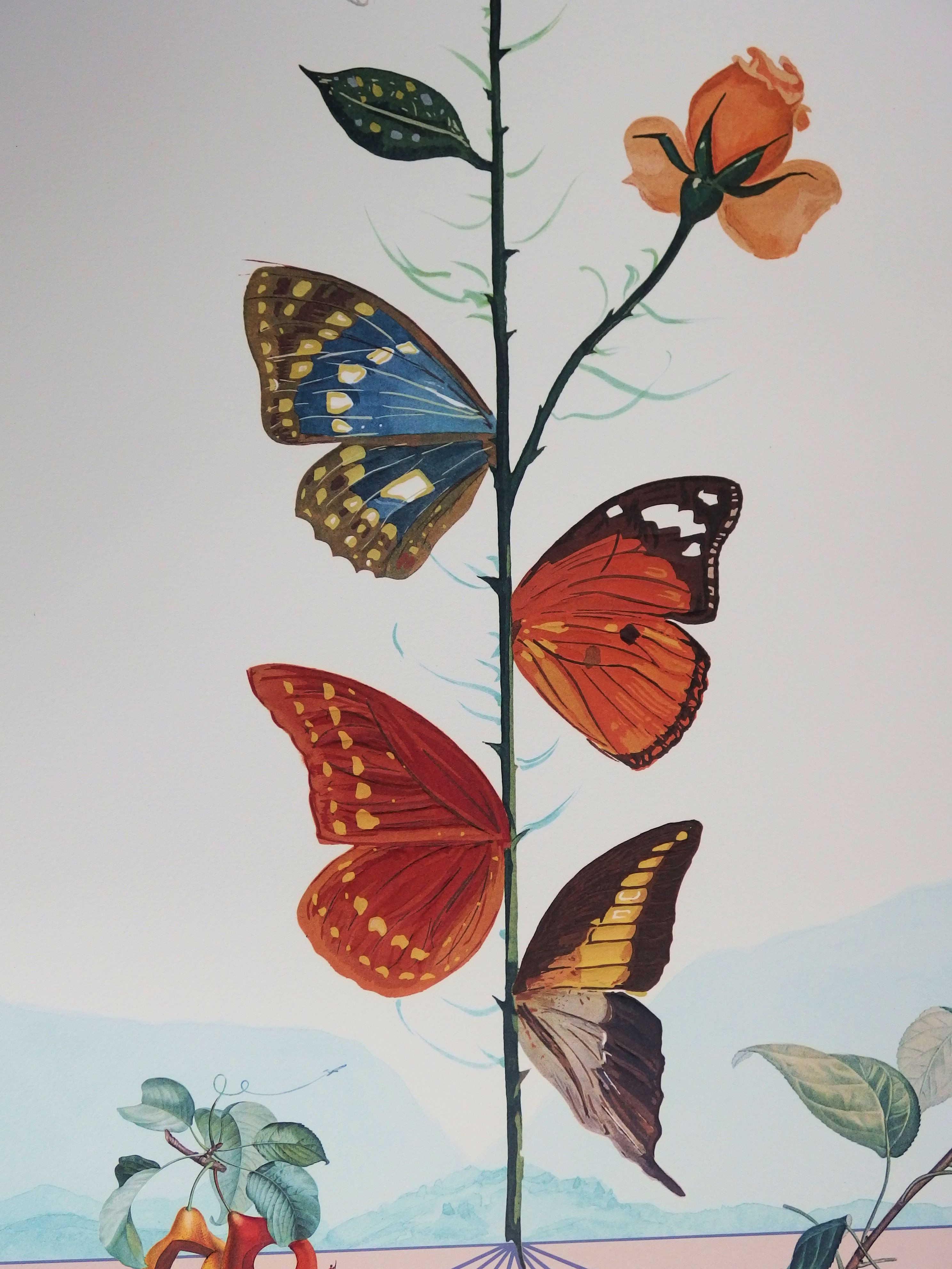 Salvador DALI - Flordali II, La rose papillon, 1981, Lithographie ...