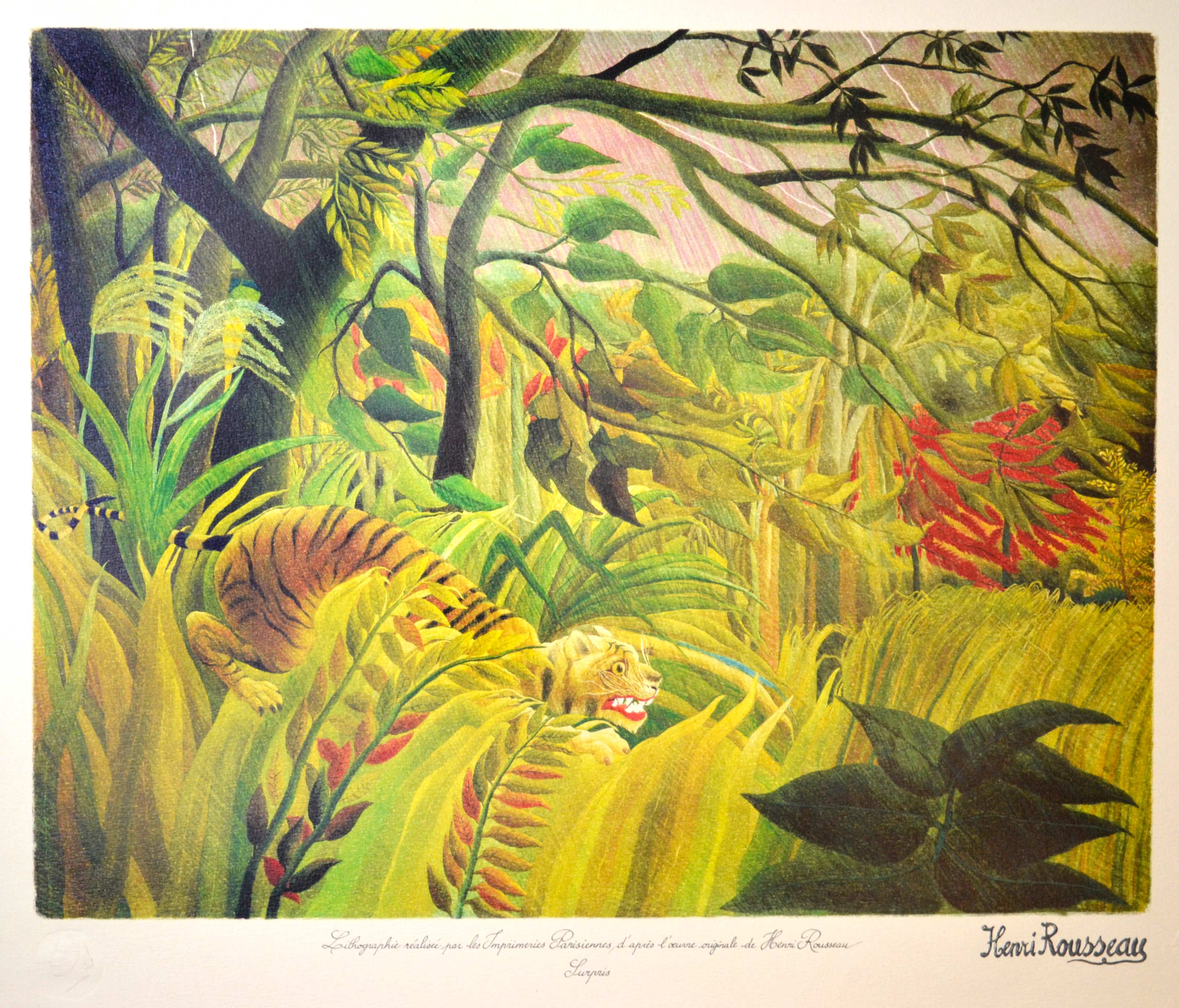 Henri ROUSSEAU "SURPRIS" Lithographie - Art Moderne - Plazzart
