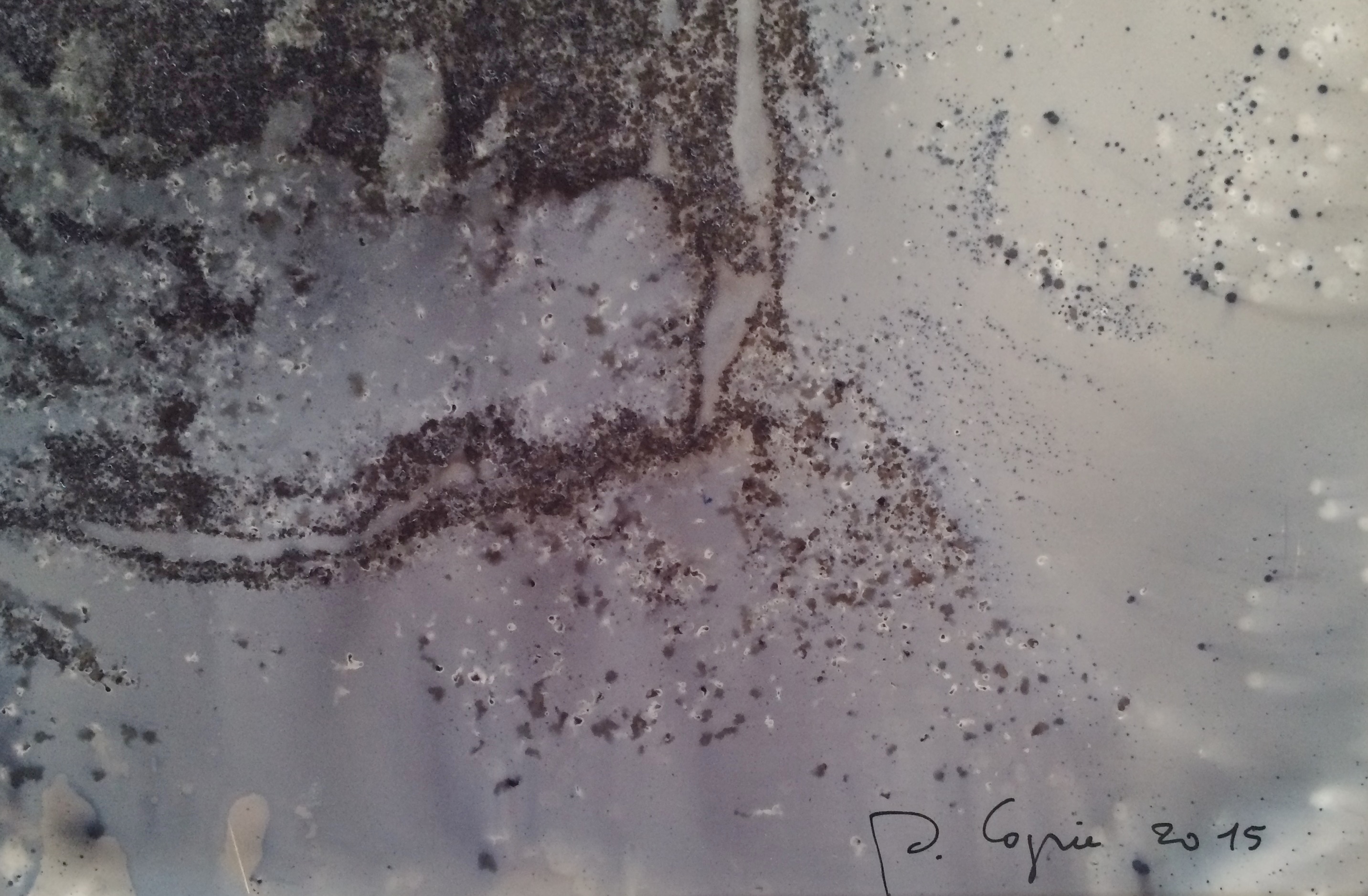 Philippe COGNEE - Celui qui observe, 2015, Peinture à la cire signée ...