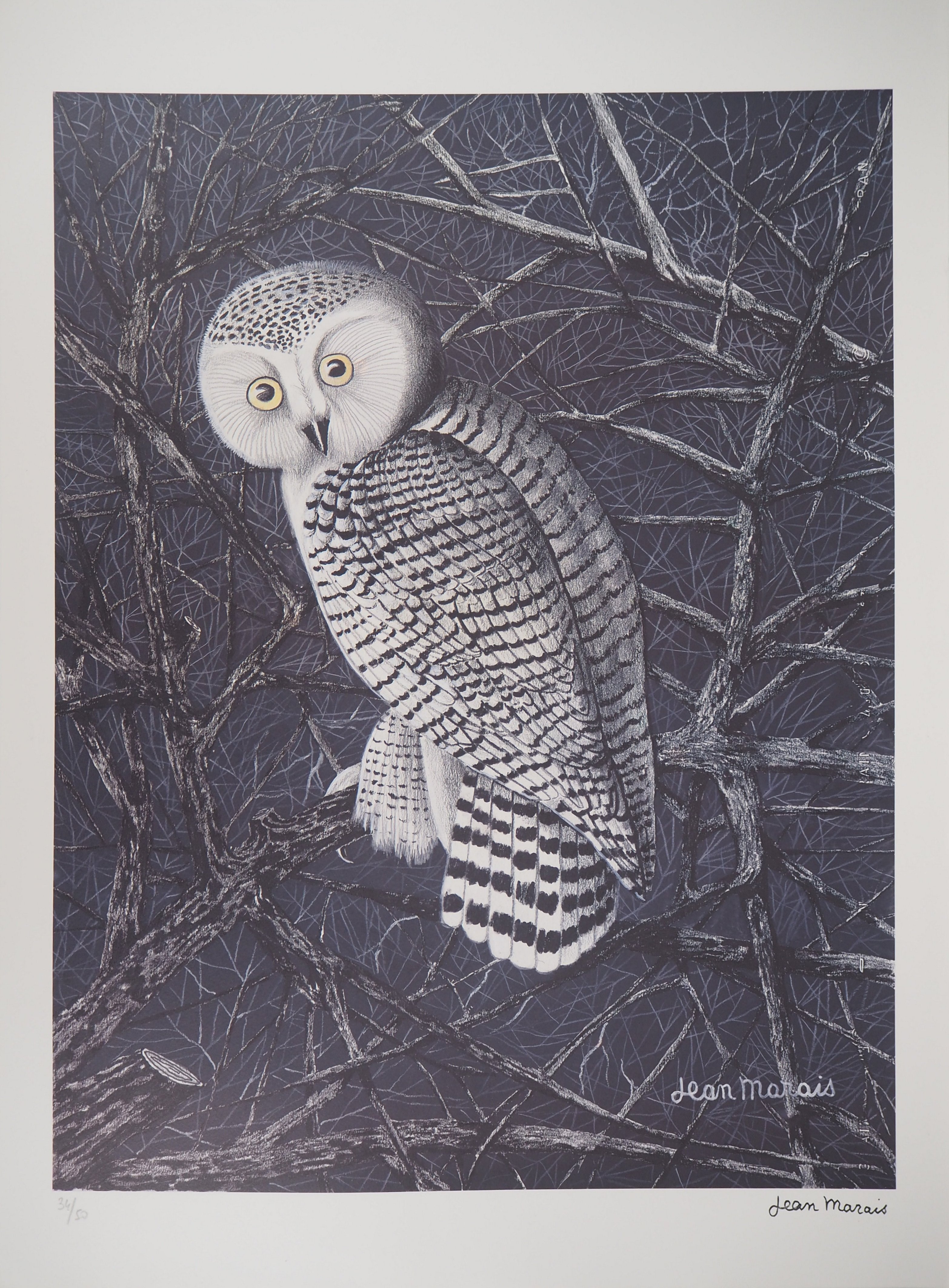 Jean MARAIS - The Owl, signed lithograph | Barnebys