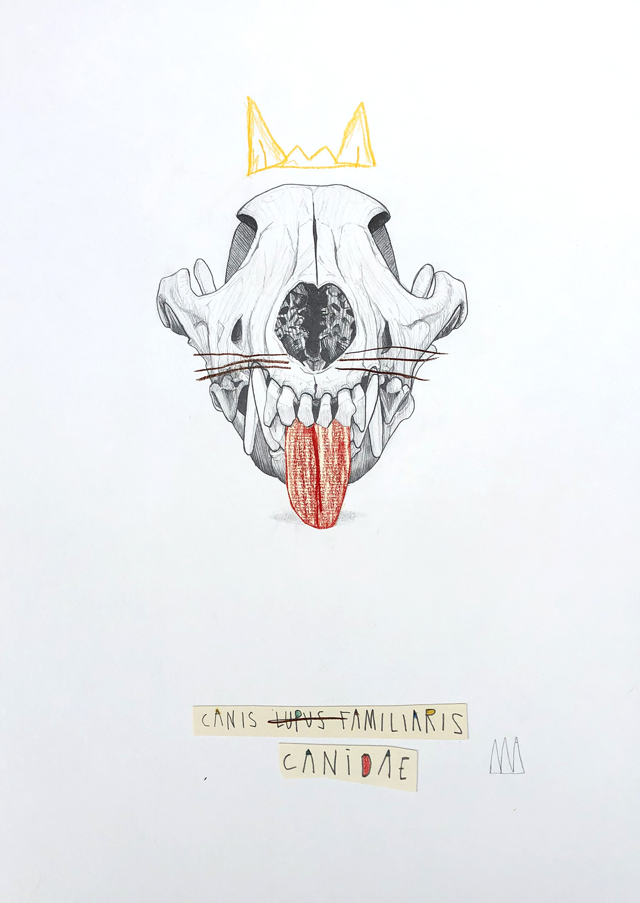 Mateo ANDREA - Canis Candea, 2020 - Drawing - Revelations - Plazzart