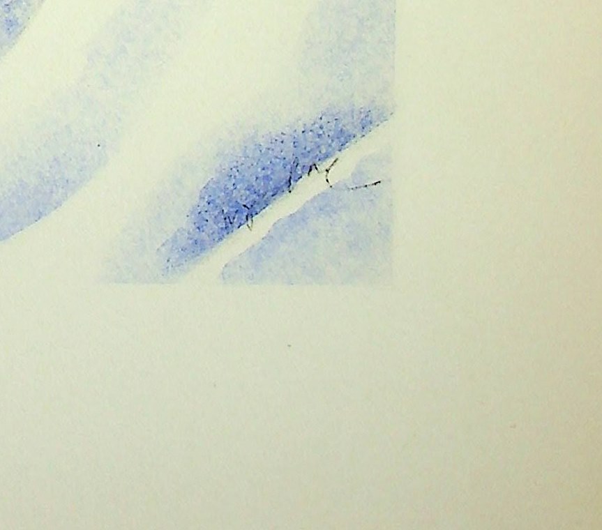 Milivoj UZELAC - Le Water-Polo - Lithographie originale signée - Art ...