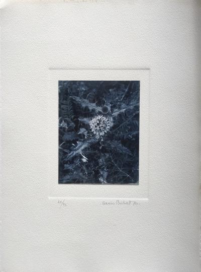 Denis BRIHAT - Equinops, 1970 - Photographie - Photographie - Plazzart