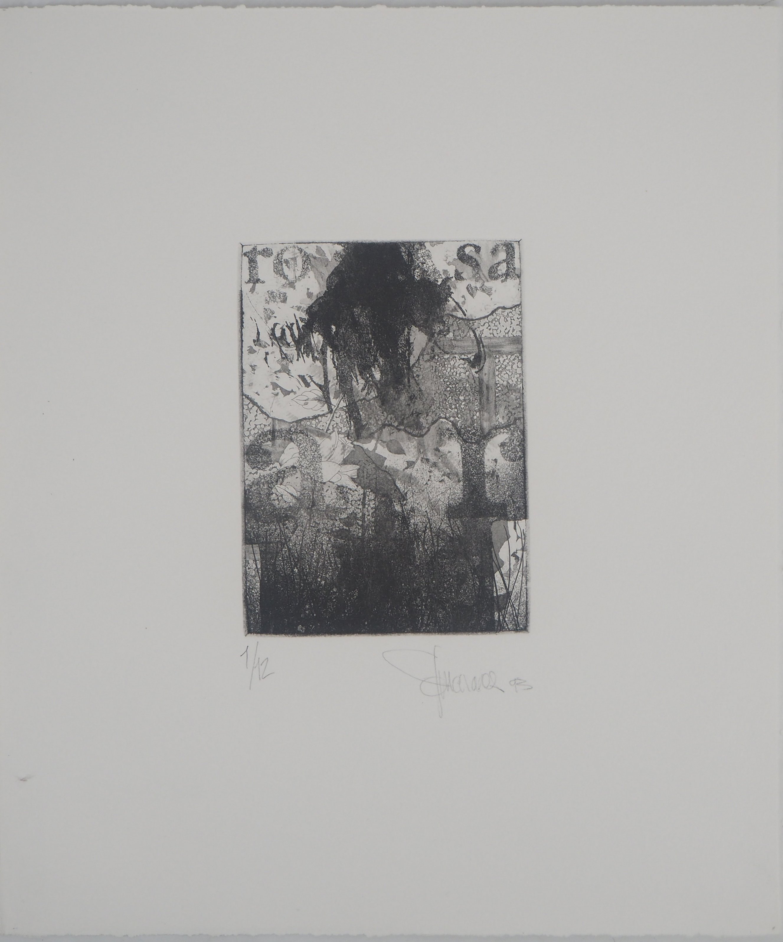 Ricardo COLMENARES - Pensées pour une femme : Rosa, 1993 - Gravure ...