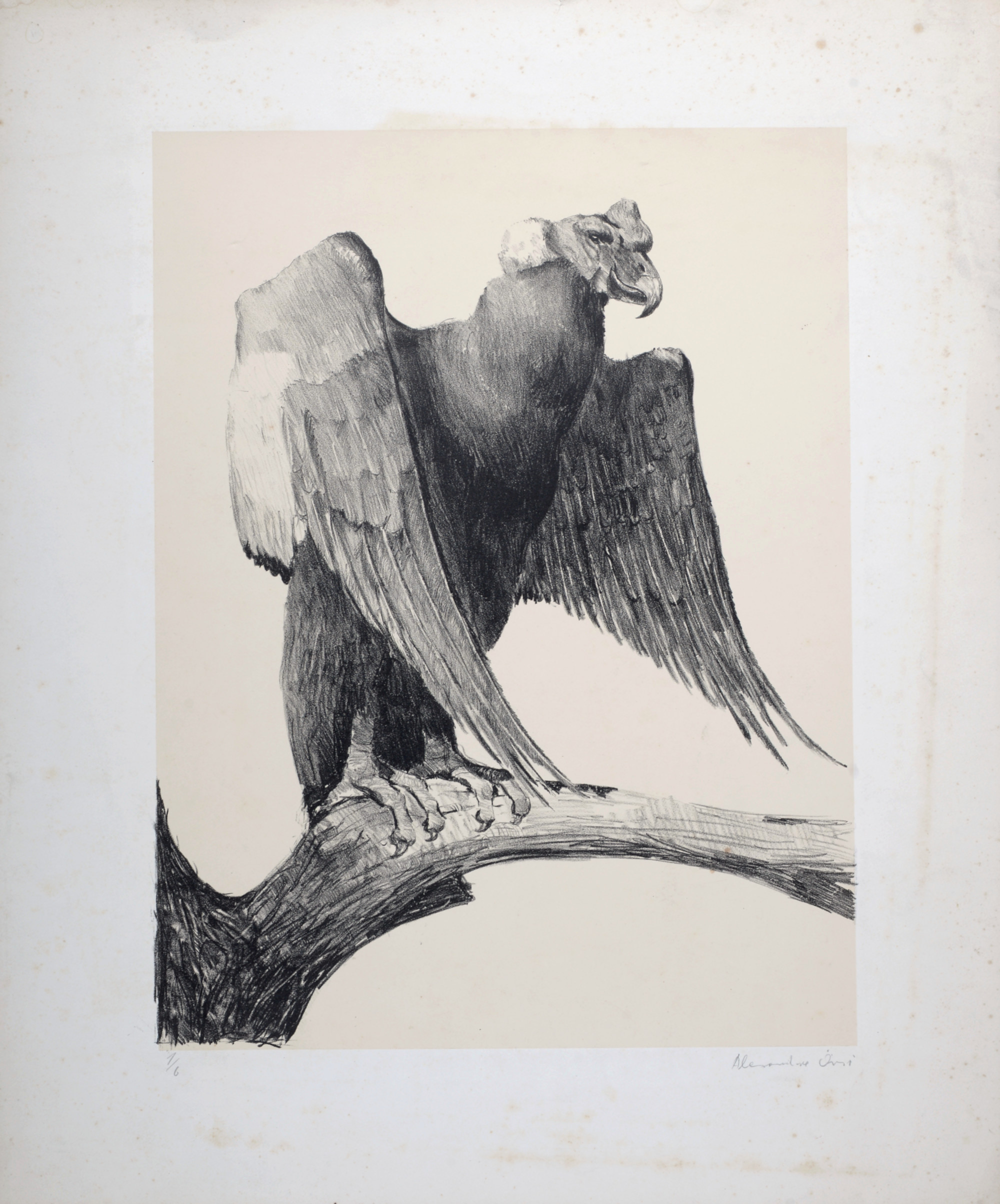 Alexandre ORSI - Le Condor, C. 1925 - Lithographie originale - Art ...