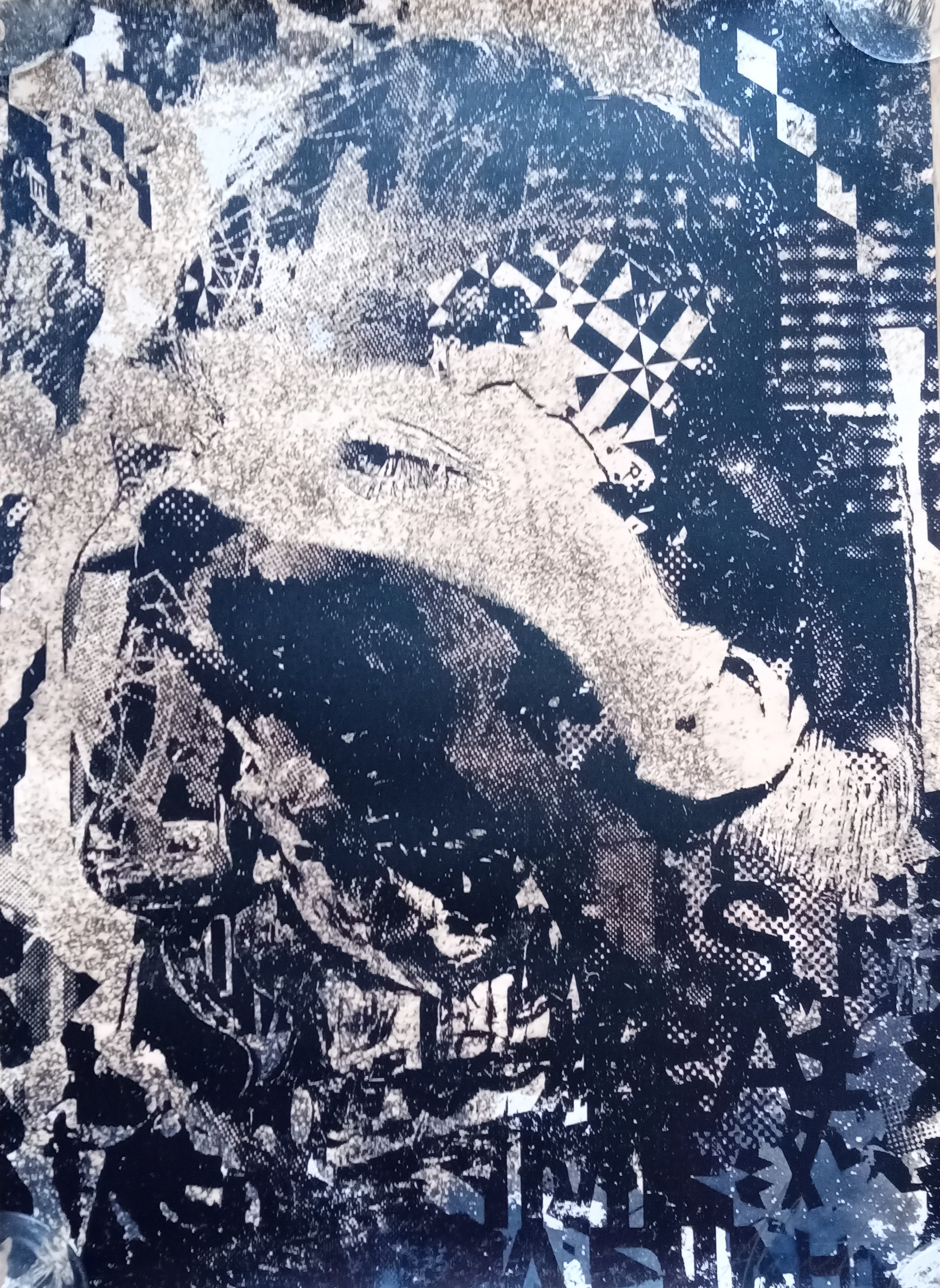 Vhils - Glance, 2021 - Sérigraphie signée au crayon - Street Art - Plazzart