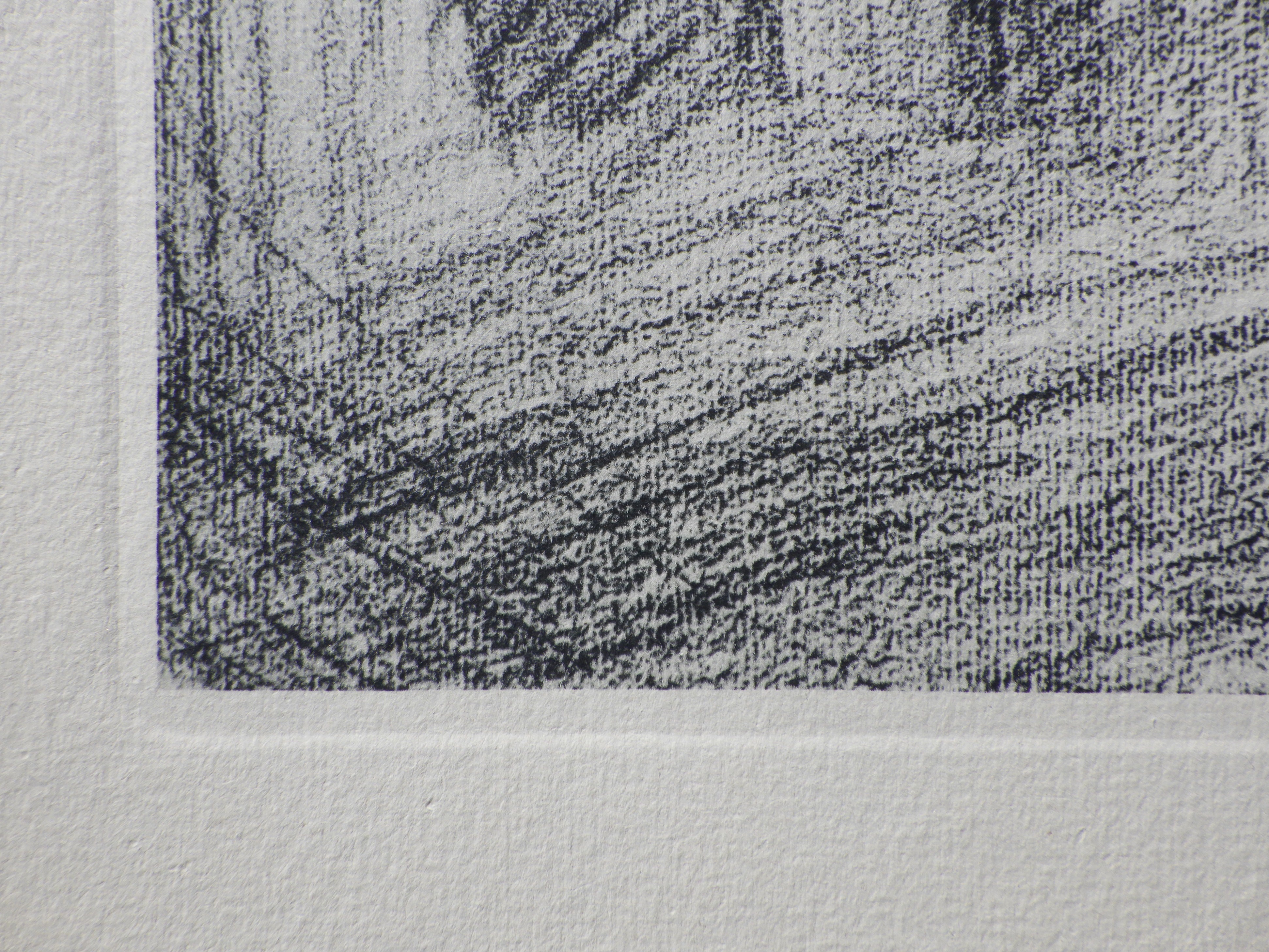 Georges SEURAT: La mietitrice, incisione, 1948 - Arte Moderna - Plazzart