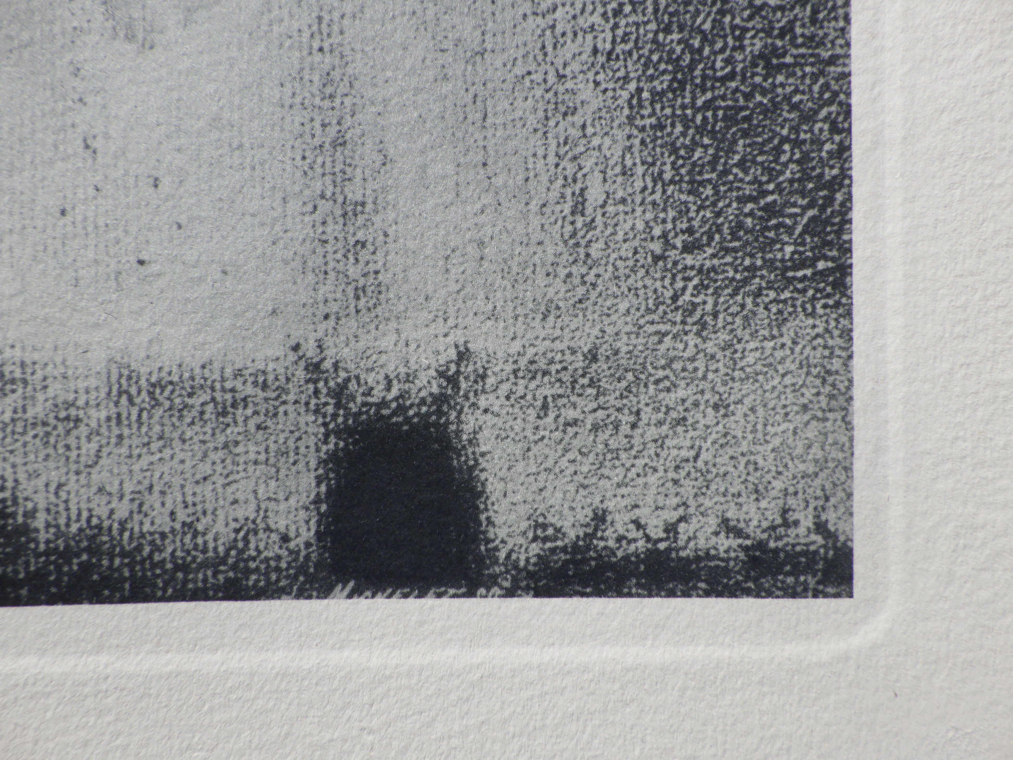 Georges SEURAT: Il cantante al concerto, Incisione, 1948 - Arte Moderna ...